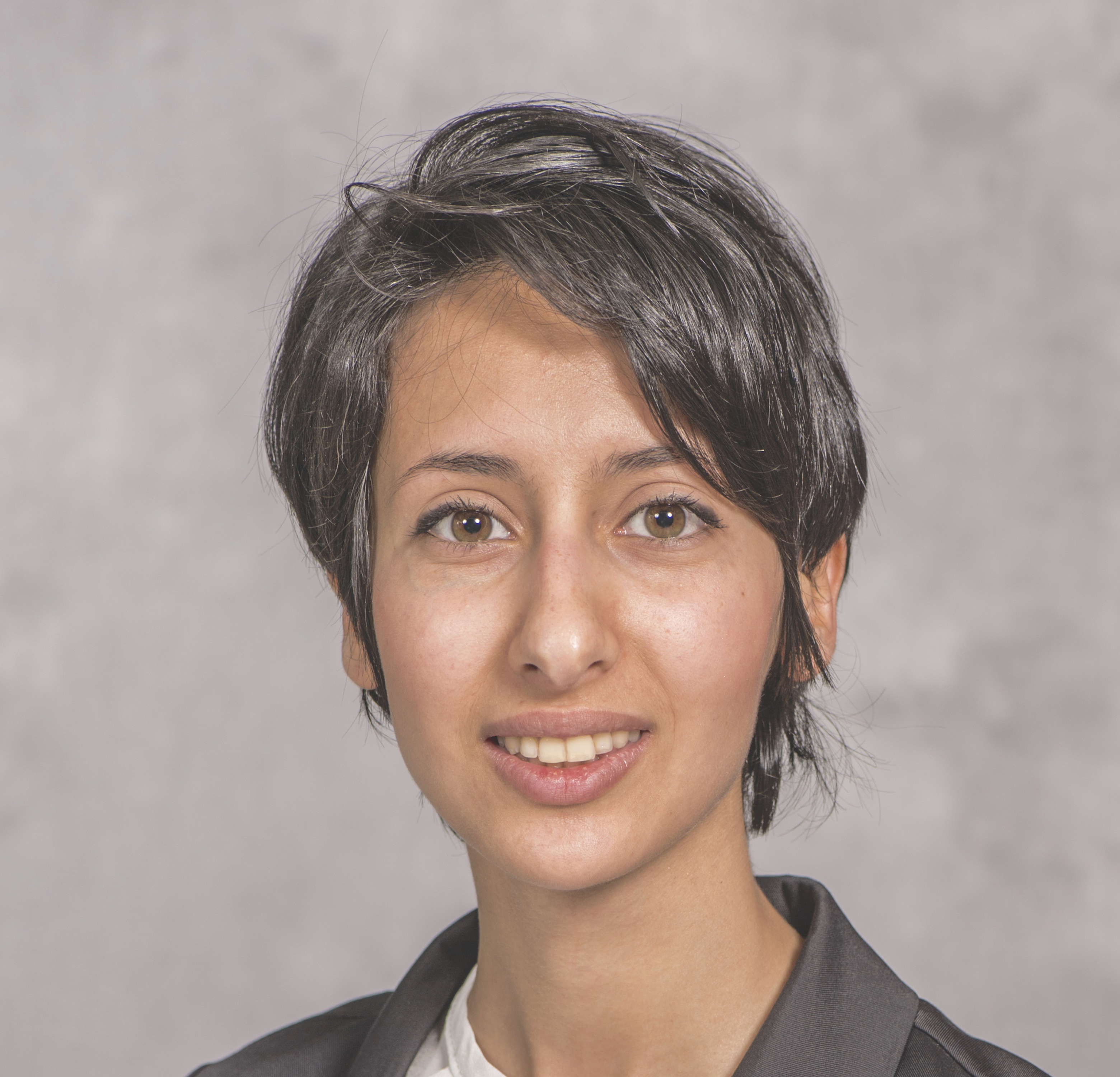 CV - Setareh Behroozi